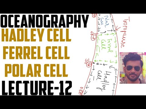 Hadley Cell, Ferrel Cell, Polar Cell - Convergence and Divergence of ...