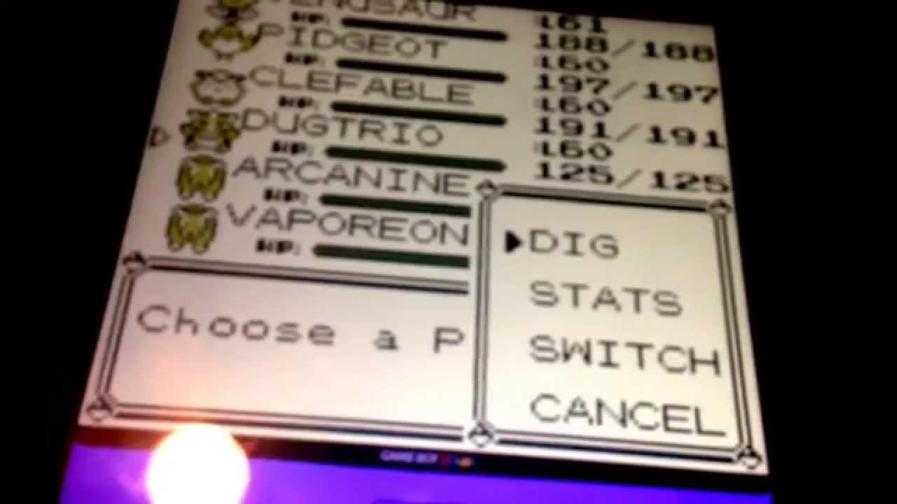 My Pokemon Red Team
