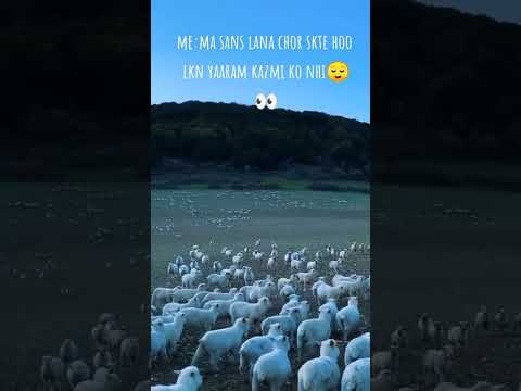Yaram kazmi 🔥😍🔥#viral #viralvideo #novela #urdunovels