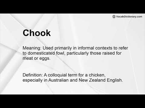 Chook Meaning