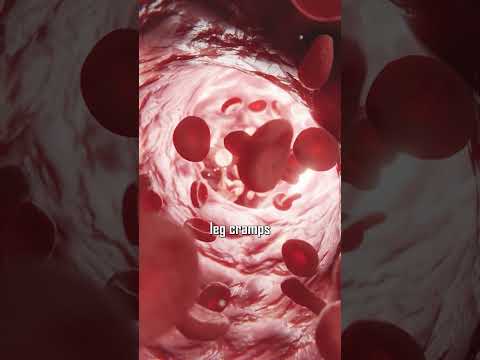 Why Paul Saladino Added Fruits To His Carnivore Diet 👉