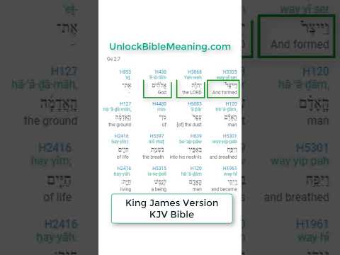 The Ultimate Bible Translation With It's Must-have Treasures