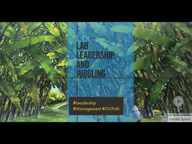 Juggling Leadership in the Laboratory: A Guide to Effective Management ...