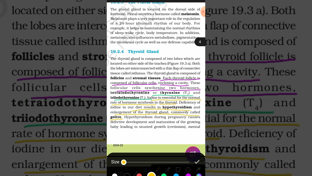 Thyroid gland #ncert #neet #shorts #youtubeshorts #trending #viralvideo #biologysimplifiedtelugu