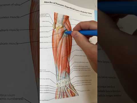 How to Get Rid of Tennis Elbow