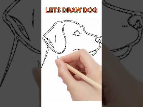 Easy Dog Drawing Tutorial |How to Draw A Dog #shorts #dog #dogdraw
