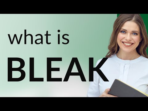 Bleak | definition of BLEAK