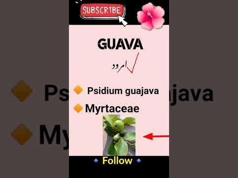 guava botanical name | botanical name of guava #guava #nomenclature #botanicalname #viral #trending