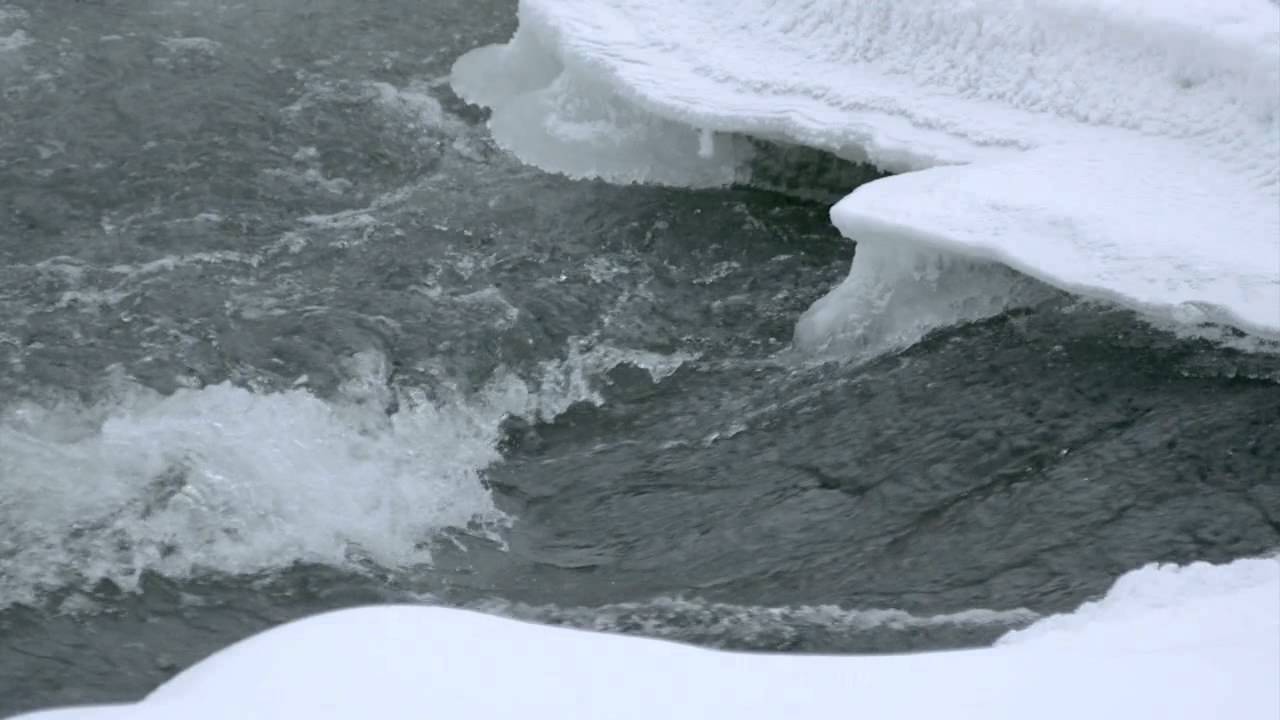 Yellowstone's Northern Range HD