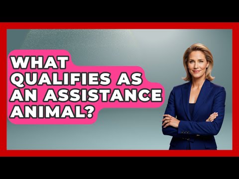 What Qualifies As An Assistance Animal? - Your Civil Rights Guide