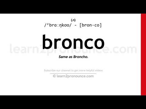 Pronunciation of Bronco | Definition of Bronco