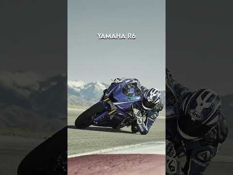 What is the Best 600cc Sportsbike?