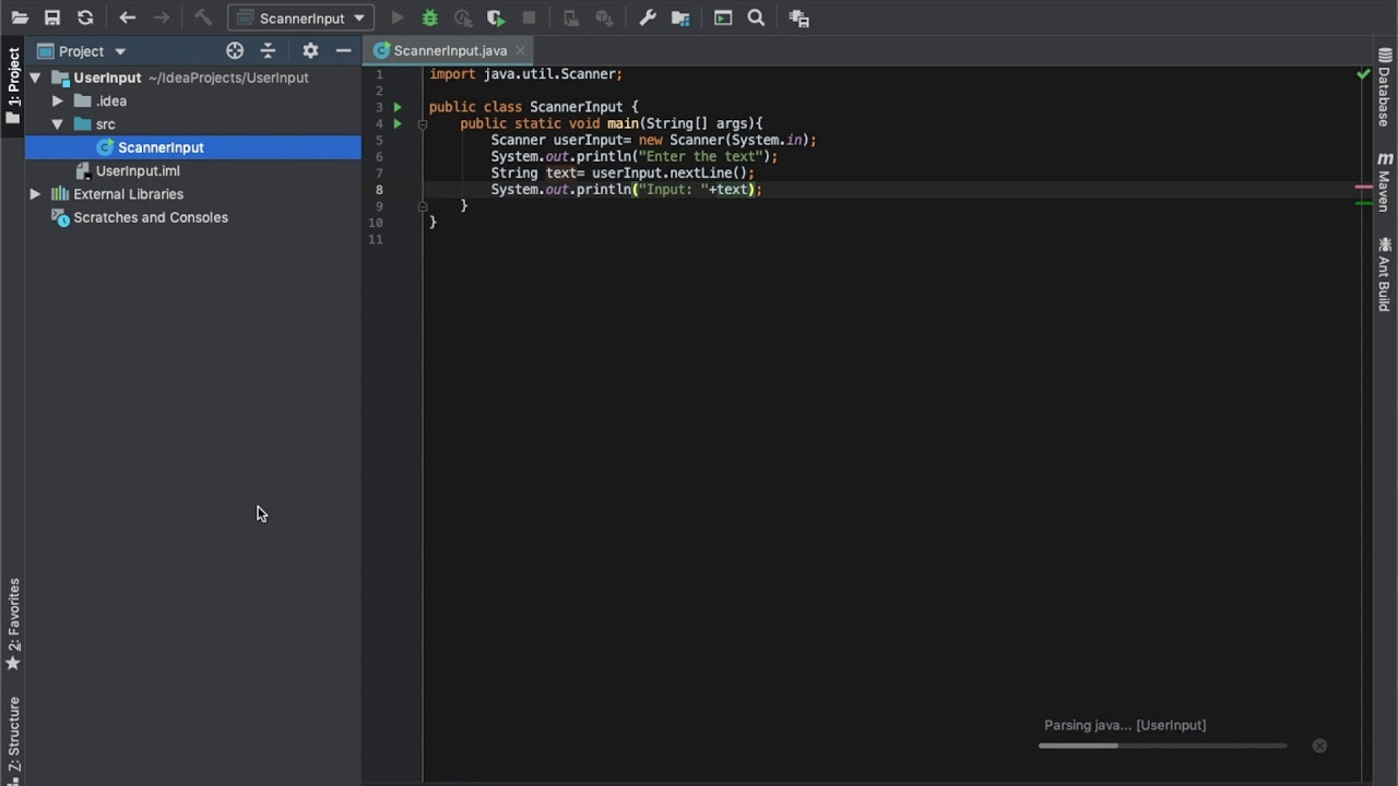 Getting user input in java using Scanner class( intellij-2019)