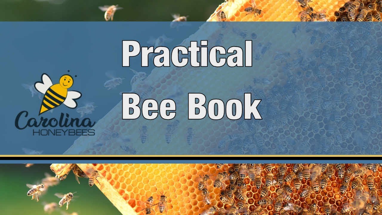 Beekeeping Book for Beginners - Buzz into Beekeeping Tips from a Master Beekeeper