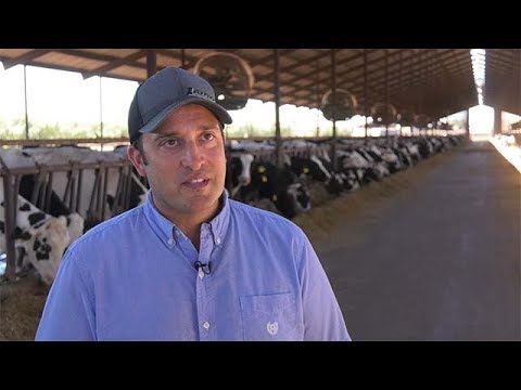 Climate Smart Ag, Episode 6: Robert Gioletti & Sons Dairy