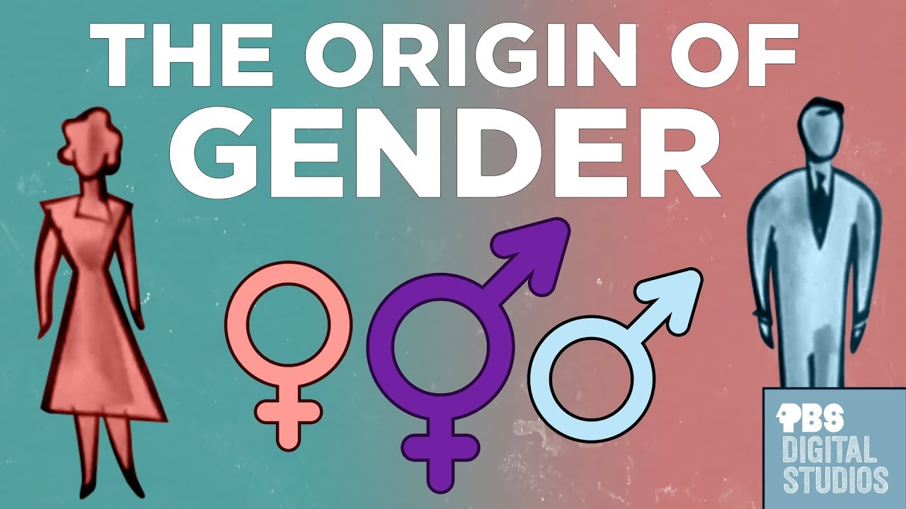 Exploring the Origins and Evolution of Gender: Beyond the Binary ...