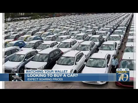 Watching Your Wallet: Car buying prices