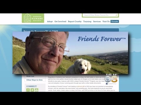 3 On Your Side: Pet Trusts Help Protect Animals After Their Owner Passes Away