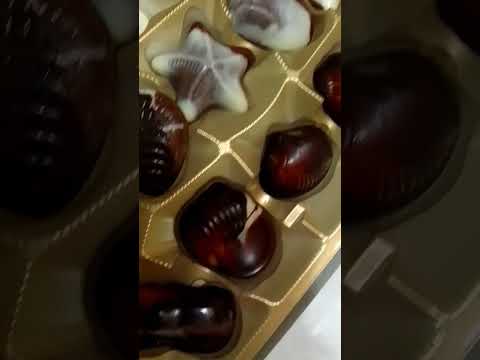 Belgian Chocolate Seashells