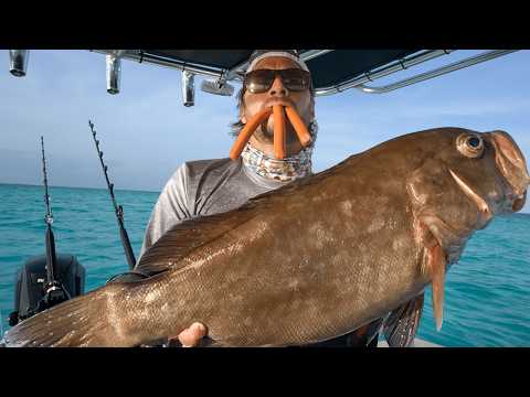 Fishing with Hot Dogs *Offshore* {Catch and Cook}