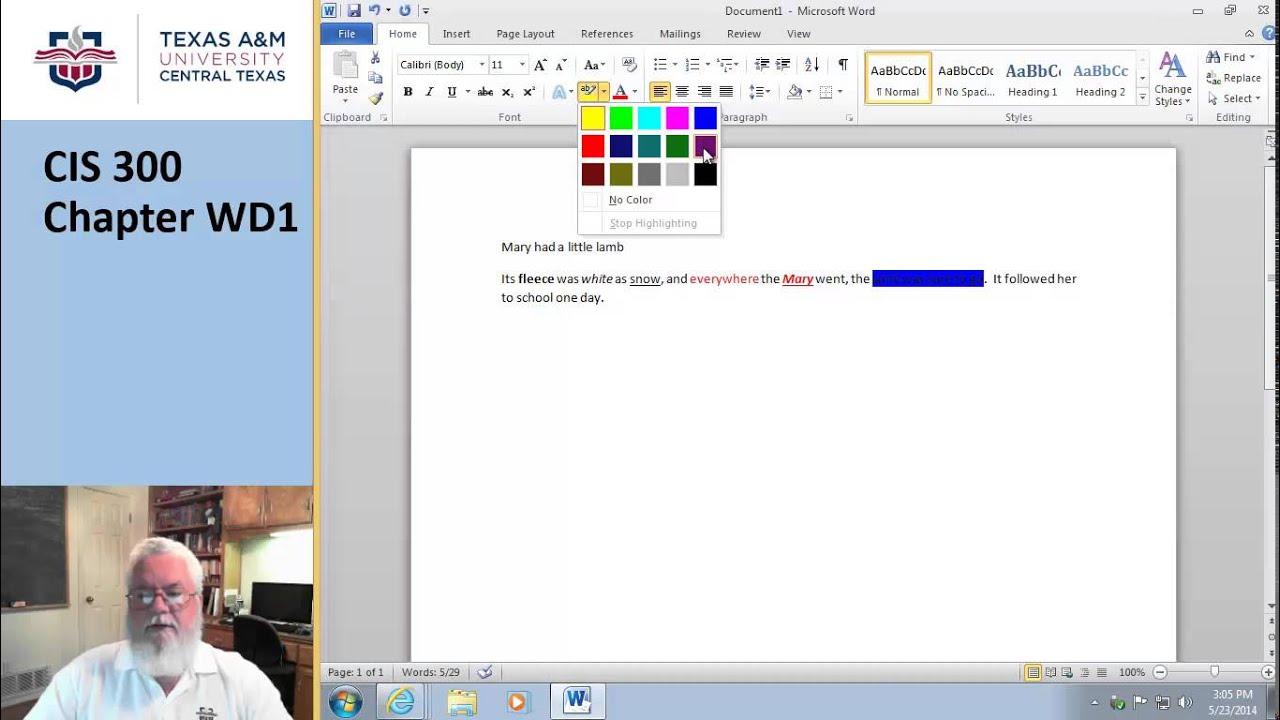 CIS300 ChapterWD1 Part1