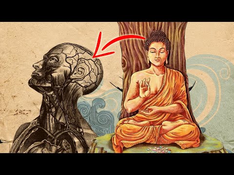 HOW IS A REALLY WISE PERSON | Buddhism In English