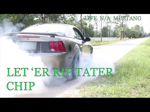 Mustang LET'ER RIP TATER CHIP