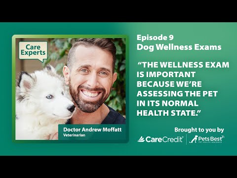Dog Checkups and Vaccine Information with Dr. Moffatt