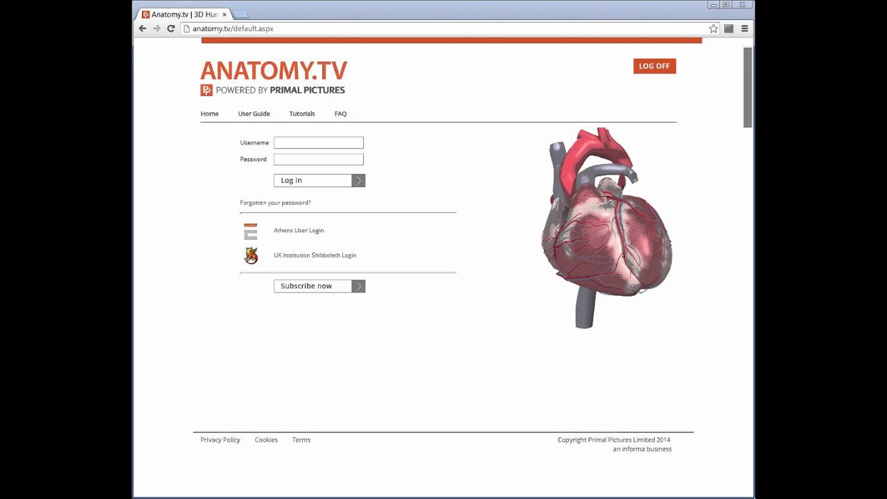 Introduction - Anatomy.TV