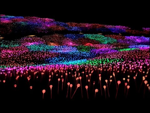 Amazing Field of Light! Sensorio, Paso Robles, California