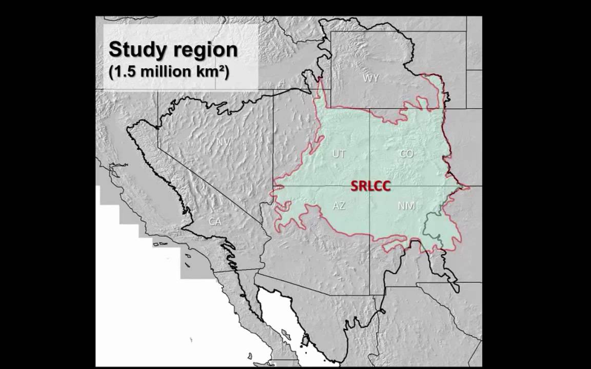 Using Satellite Imagery to Inform Mule Deer Conservation