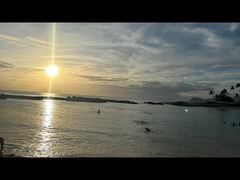 Trip to Hawaii