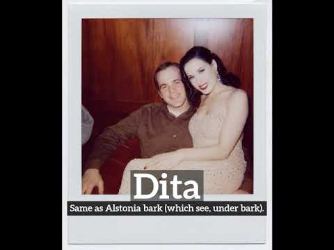 What is Dita? | How to Say Dita in English? | How Does Dita Look?