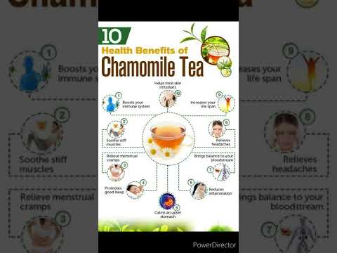 10 Health Benefits Of Chamomile Tea ????✔️????