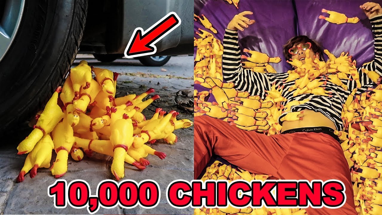 10,000 RUBBER CHICKENS EXPERIMENTS