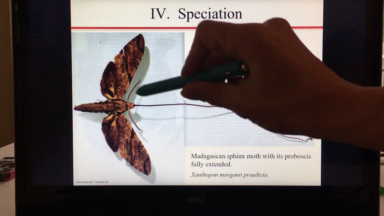 Evolution Lecture 3: Speciation and Patterns of Evolution