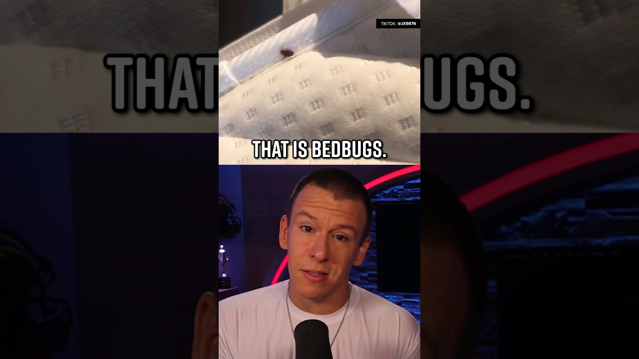 Bed Bugs Rampaging Through Paris #Shorts