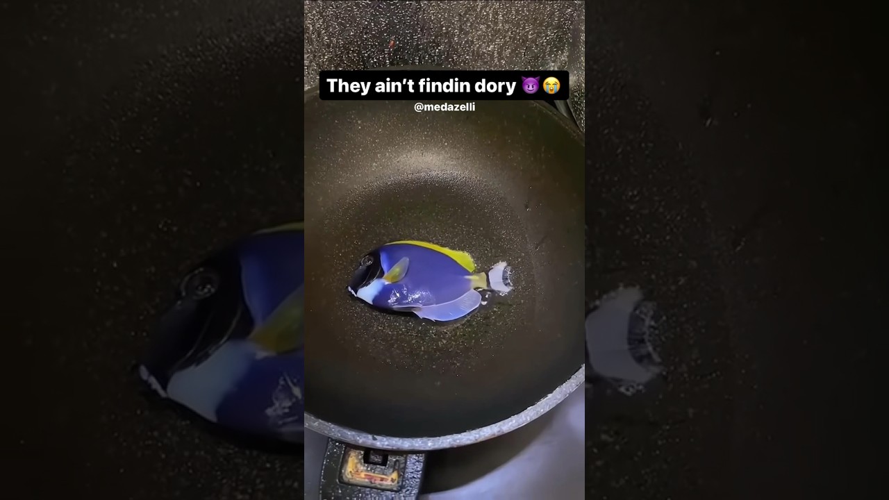 I Cooked Dory For Lunch 🔥