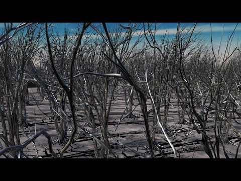 Creating a forest scene in Maya – PLATT ANIMATION