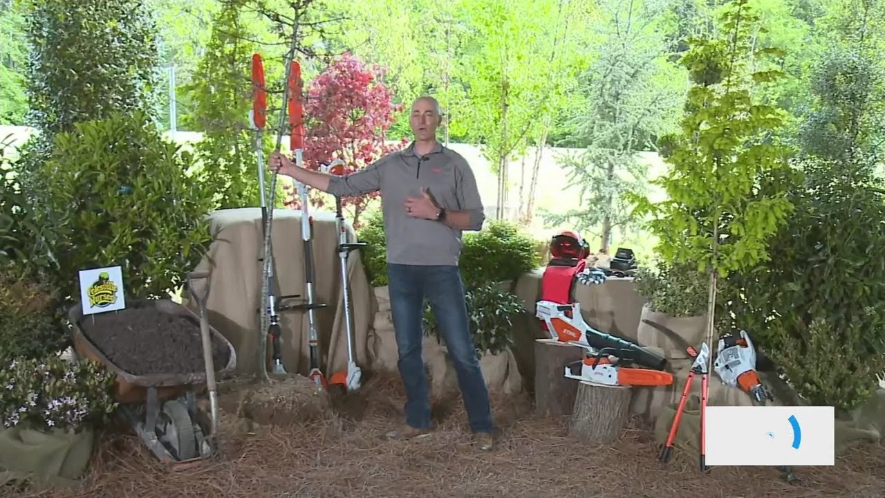 Tree Planting Tips on Arbor Day!