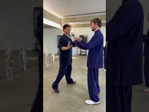 Standing Meditation for TaiChi #taichi #meditation #qigonghealing #qigong