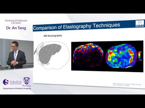 Visiting Professor - Dr. An Tang (Sept 2015)
