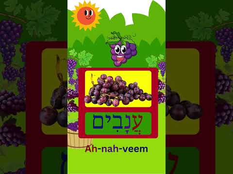 How To Say Grapes In Hebrew #viral #hebrew #fruit #fun #israel #kids #learning #shorts #fyp #school