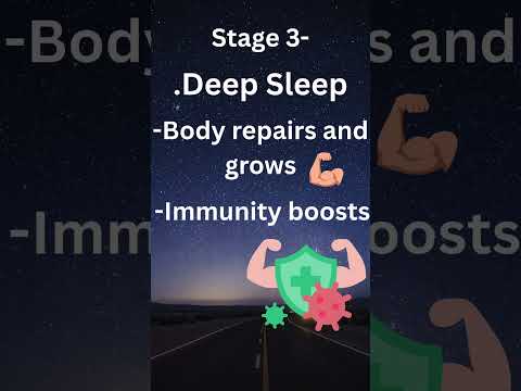 What Happens When You Sleep? 😴 | Sleep Cycle Explained in seconds | REM Sleep Facts #shorts