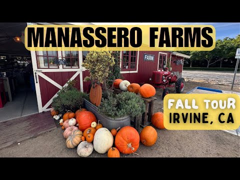 Manassero Farms IRVINE Market and Farm FALL TOUR | MOODY BLOOMS