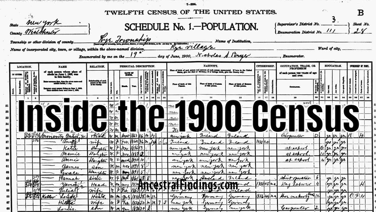 AF-1084: Inside the 1900 Census | Ancestral Findings Podcast
