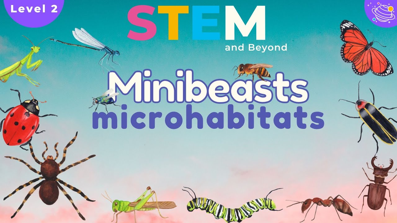 Minibeasts Microhabitats | Science For Kids | STEM Home learning