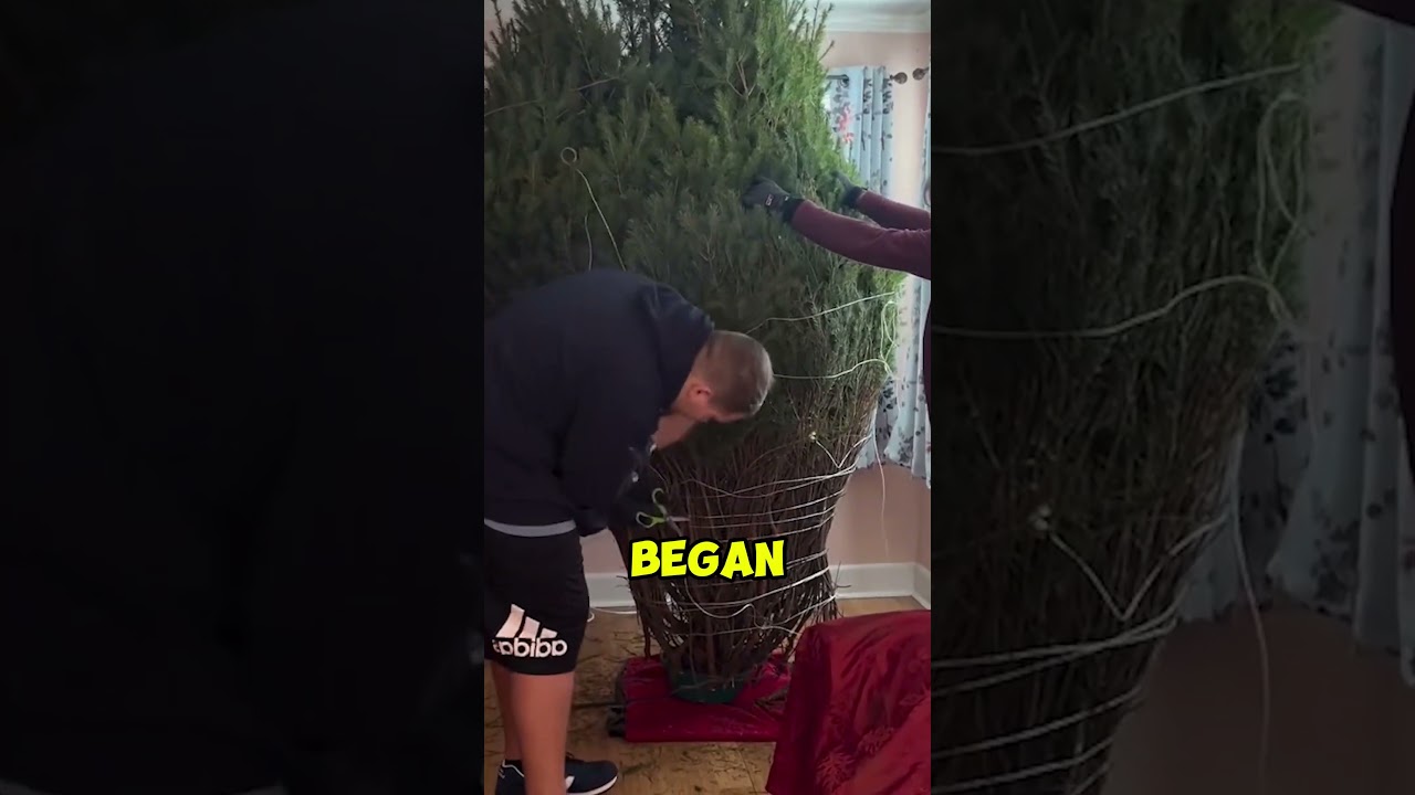 Bush Instead of a Christmas Tree