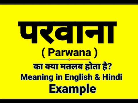 परवाना को इंग्लिश में क्या बोलते हैं || Parwana meaning in English || Daily Use English Sentences