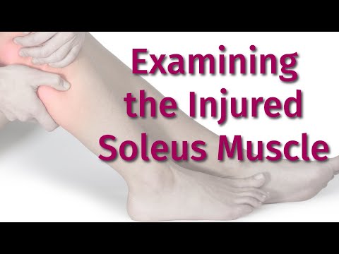How to Examine for the Injured Soleus Muscle